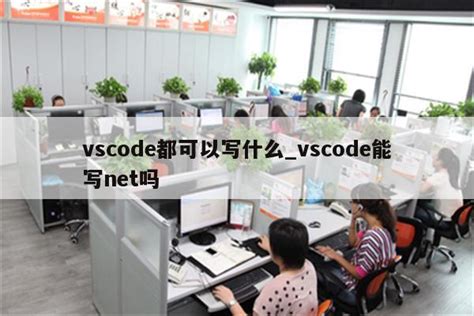 vscode都可以写什么 vscode能写net吗 陕西卓智工作室