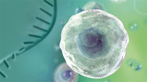 Developing Safe And Effective Aav Based Gene Therapies Using Ddpcr™ Technology Bio Rad