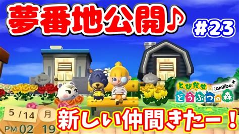 【とび森】夢番地公開！新しい子たちに癒されまくり。【とびだせどうぶつの森 実況】 Youtube