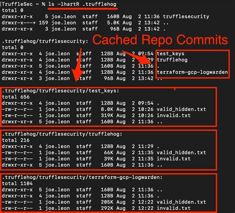 Trufflehog Now Finds All Deleted And Private Commits On Github Truffle Security Co
