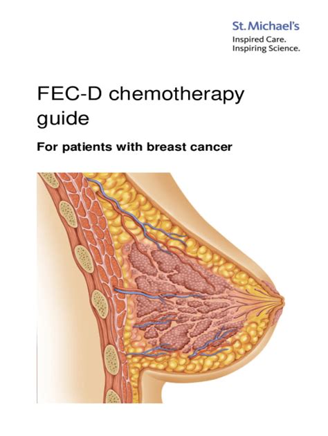 Fillable Online How Does Chemo Worktypes Of Chemotherapy Fax Email Print Pdffiller