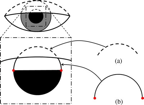 Binocular Gaze Detection Method Using A Fuzzy Algorithm Based On Quality Measurements
