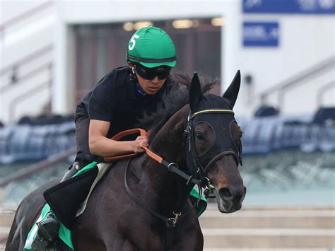 【注目馬動向】香港ヴァーズを回避したシャフリヤールは有馬記念に向けて中山競馬場で調整 スポーツ報知