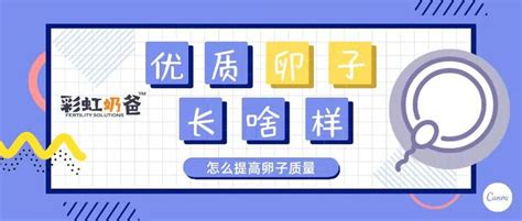 什么样的卵子才是优质卵子，如何提高卵子质量？｜彩虹奶爸 知乎