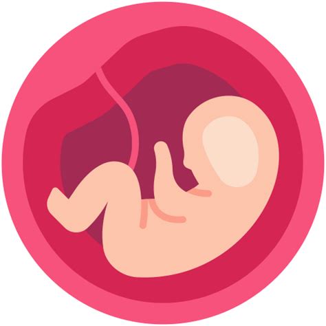 Bmr基础代谢率计算器 工具匠