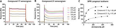 Spr Results For The Two Hits Showing The Highest Affinity For The Bcl6