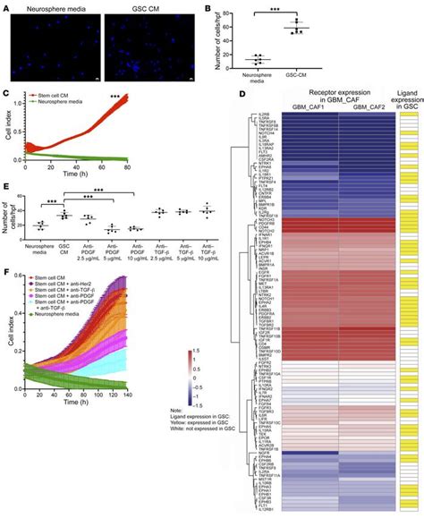 Jci Single Cell Rna Sequencing And Spatial Transcriptomics Reveal