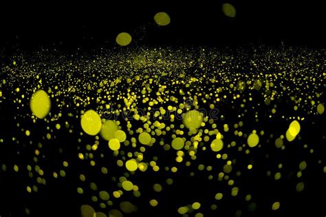Firefly Lightning Bug In The Rainforest At Night Stock Image Image Of