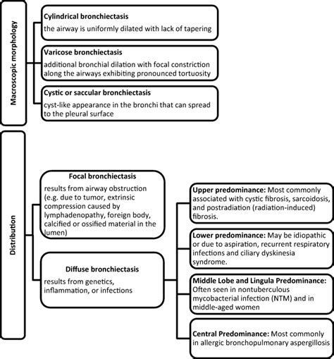 Types Of Bronchiectasis