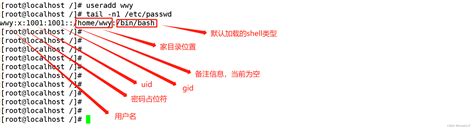 Linux用户管理 Csdn博客