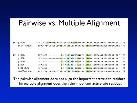pairwise sequence alignment types of alignment global alignment