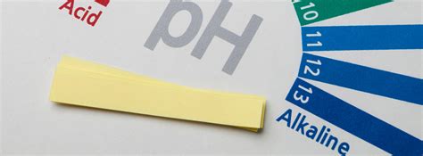 ¿qué Es La Alcalosis Y Qué Tipos Existen Canalsalud