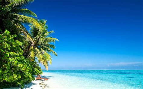 ビーチ、 水、 海、 熱帯、 シアン、 澄んだ空、 日光、 ヤシの木、 緑、 澄んだ水、 地平線、 Hdデスクトップの壁紙