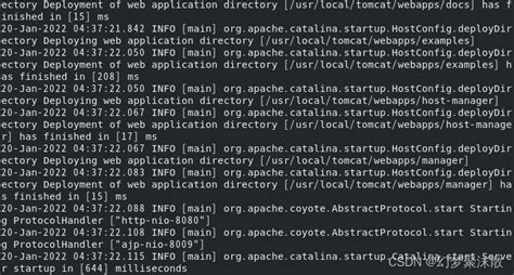 apache tomcat 安全漏洞 cve 2020 13935 复现 cve 2020 13935 复现 csdn博客