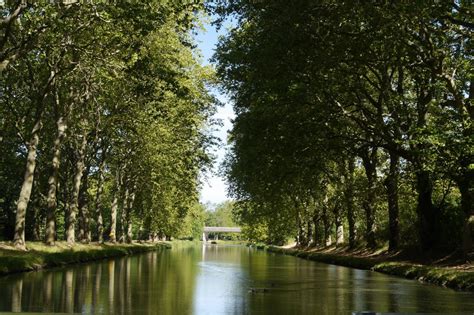 Highlights Of Cycling The Canal Du Midi Lloyds Travel And Cruises