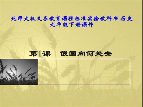 第1课 俄国向何处去课件 word文档在线阅读与下载 无忧文档
