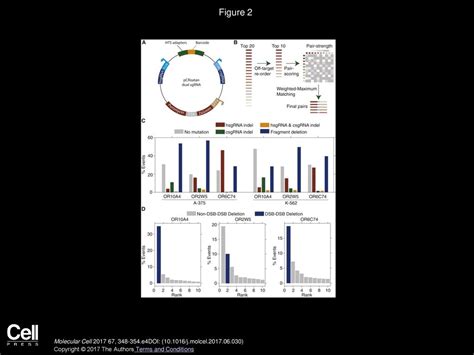 Nicolas Erard Simon Rv Knott Gregory J Hannon Molecular Cell Ppt