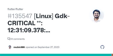 Linux Gdk CRITICAL 12 31 09 378 Gdk Window Get State Assertion