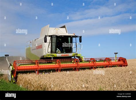 Weizen ernte claas Fotos und Bildmaterial in hoher Auflösung Alamy