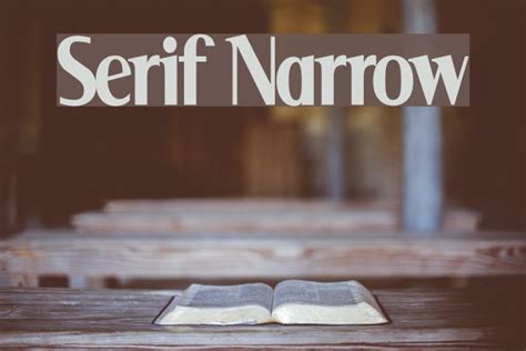 Serif Narrow Font