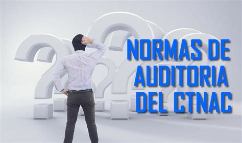 Colegio De Auditores Normas De Auditoria Del Ctnac