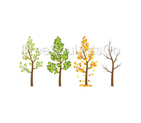 Winter Spring Summer Fall Trees