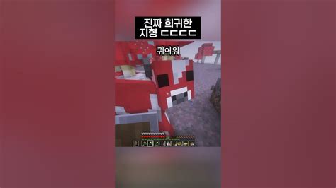 마크에서 제일 희귀한 지형이라던데 맞나요 😮 Youtube