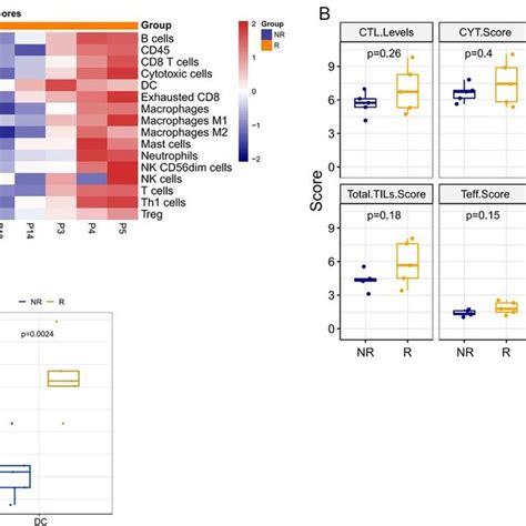 Comparison Of Cell Type Scores Between Responding And Non Responding