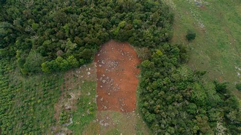 Sierra De Bahoruco Una Larga Lucha Entre Conservación Y Agricultura