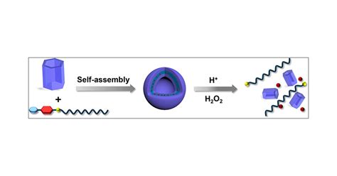 Phros Dual Responsive Supramolecular Vesicles Fabricated By