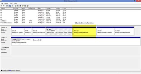 Dual Booting Windows And Linux Issues With Homogenization Between The