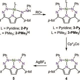 Synthesis Of Complexes 25 RO 2 4 6 Tri Tert Butylphenoxy Radical