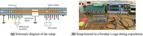 experimental setup for the modeling of a network of neurons download