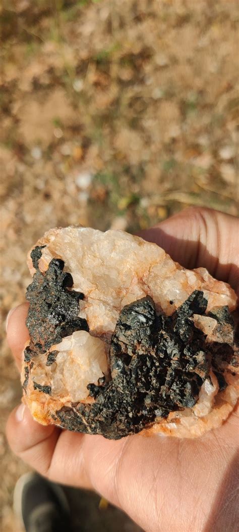 Manoj Kumar Jindal On Linkedin Fieldwork