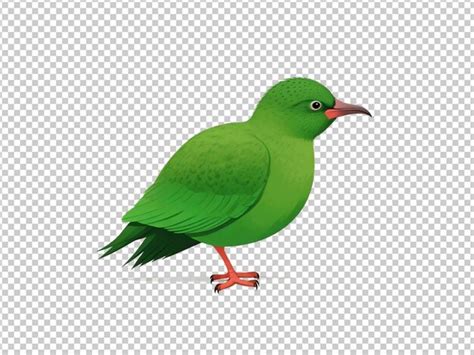 Premium Psd Kiwi Bird