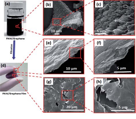 Figure 1 From Free Standing Composite Hydrogel ﬁ Lms For Superior