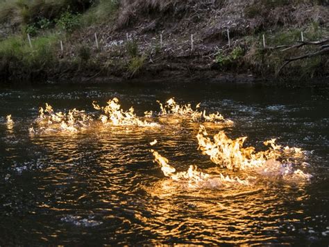 Fogo Em água De Rio Na Austrália Intriga Cientistas Mas Pode Ser Gás