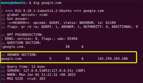 The Dig Command In Linux 10 Practical Examples