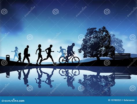 Evening Park Scene Stock Vector Illustration Of Reflection 10780352