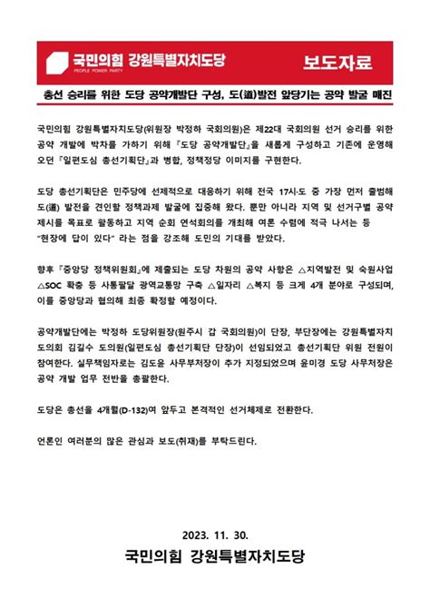 보도자료 총선 승리를 위한 도당 공약개발단 구성 도道발전 앞당기는 공약 발굴 매진 성명·보도자료 국민의힘 강원특별자치도당
