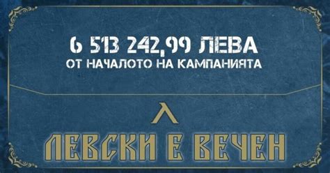 Левски обяви над 6 5 милиона лева приходи от фенската кампания — Offnews