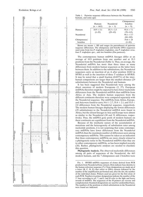 Dna Sequence Of The Mitochondrial Hypervariable Region Ii Krings Et Al Pdf