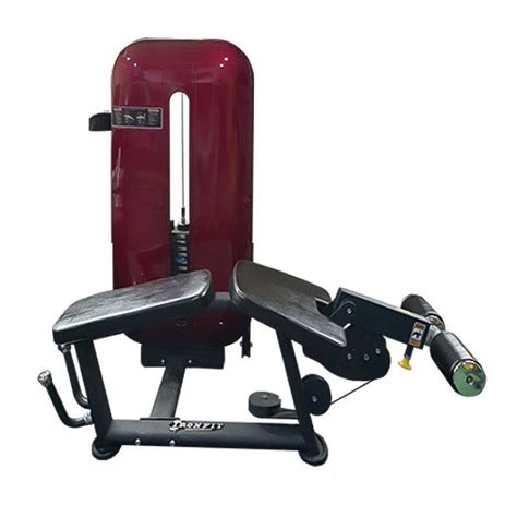 فروش دستگاه بدنسازی پشت پا ثابت آیرون فیت طرح لایف Iron Fit در پیلتن