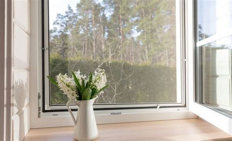10 Bugs That Can Fit Through Your Window Screens