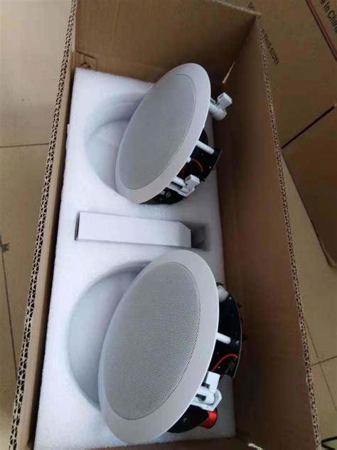 Inch W WiFi Coaxial Ceiling Speaker With One Active Speaker And Passive Speaker PA