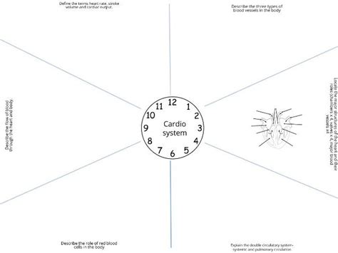 Ocr Gcse Pe Clock Revision Paper 1 And 2 23 Resources Teaching Resources