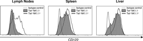 Il 2r Expression Among Inkt Cells Liver Spleen And Ln Cells Were