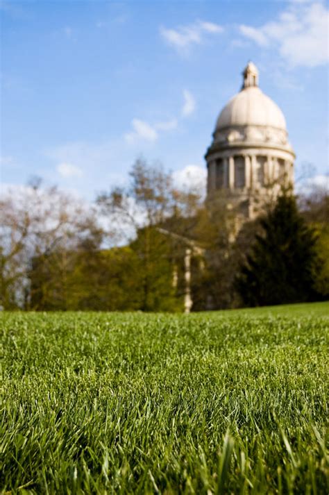 Mmm Grass By Nernix On Deviantart