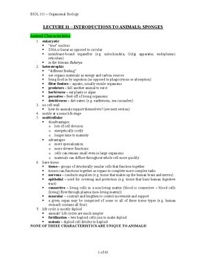 Biology Organismal Biology Fall Syllabus Updates Studocu