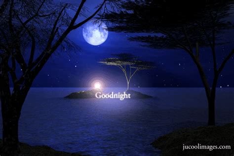 Night  Animated